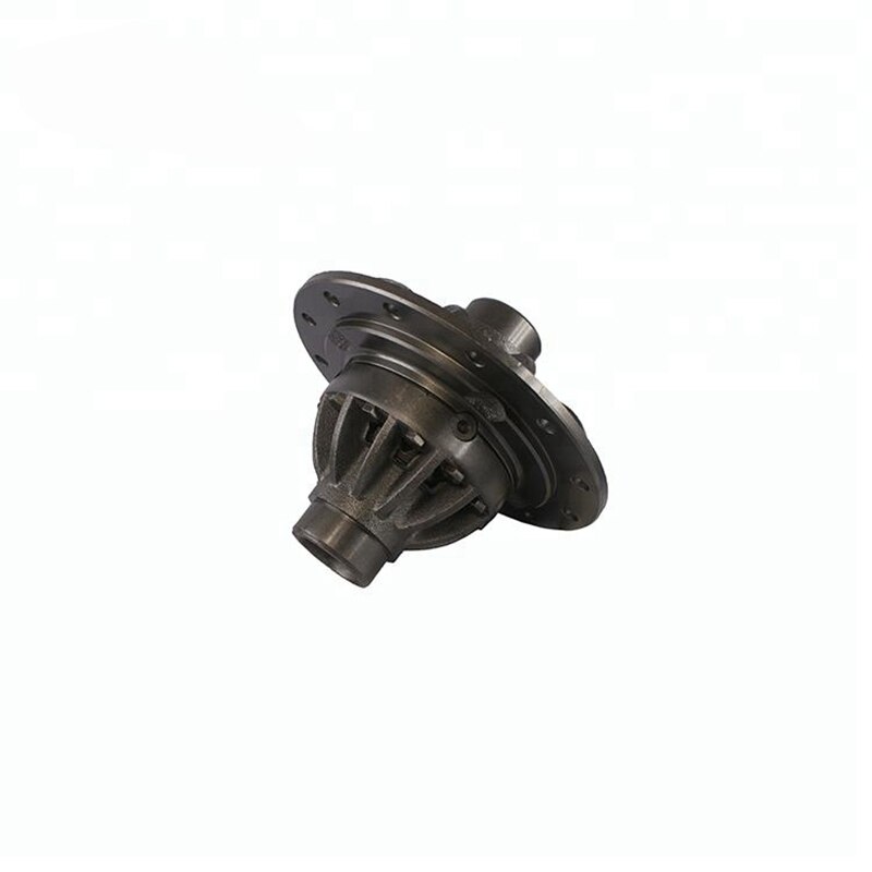 Manufacturer Small Differential Assembly For ISUZU... – Vicedeal