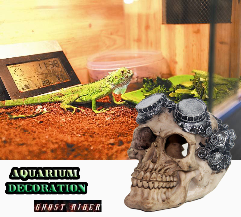 Terrarium/aquarium Decoration Skull For Fish Tank ... – Vicedeal