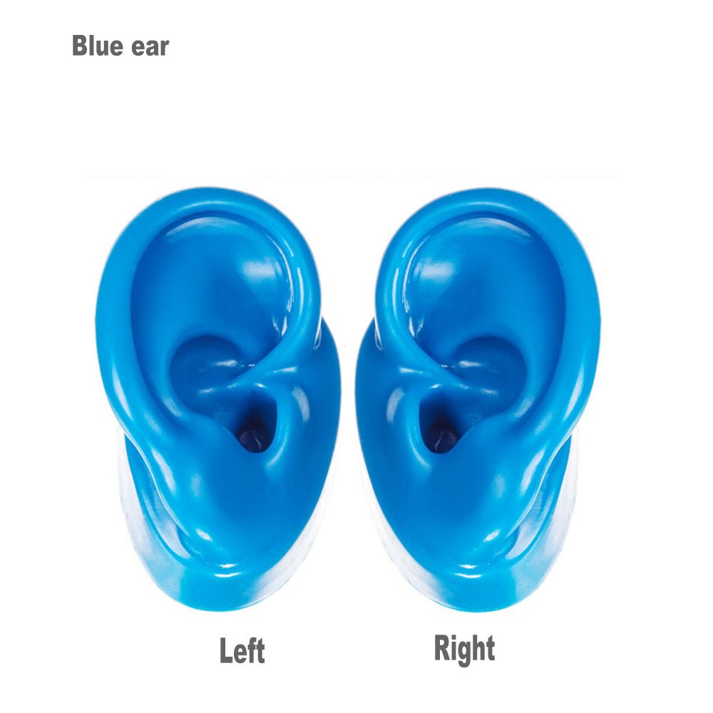 Silicone Ear Model Human Artificial Ear Display fo... – Grandado