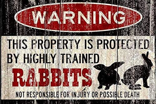 NGFD Rabbit Sign Funny Metal Signs Rabbit Accessor... – Vicedeal
