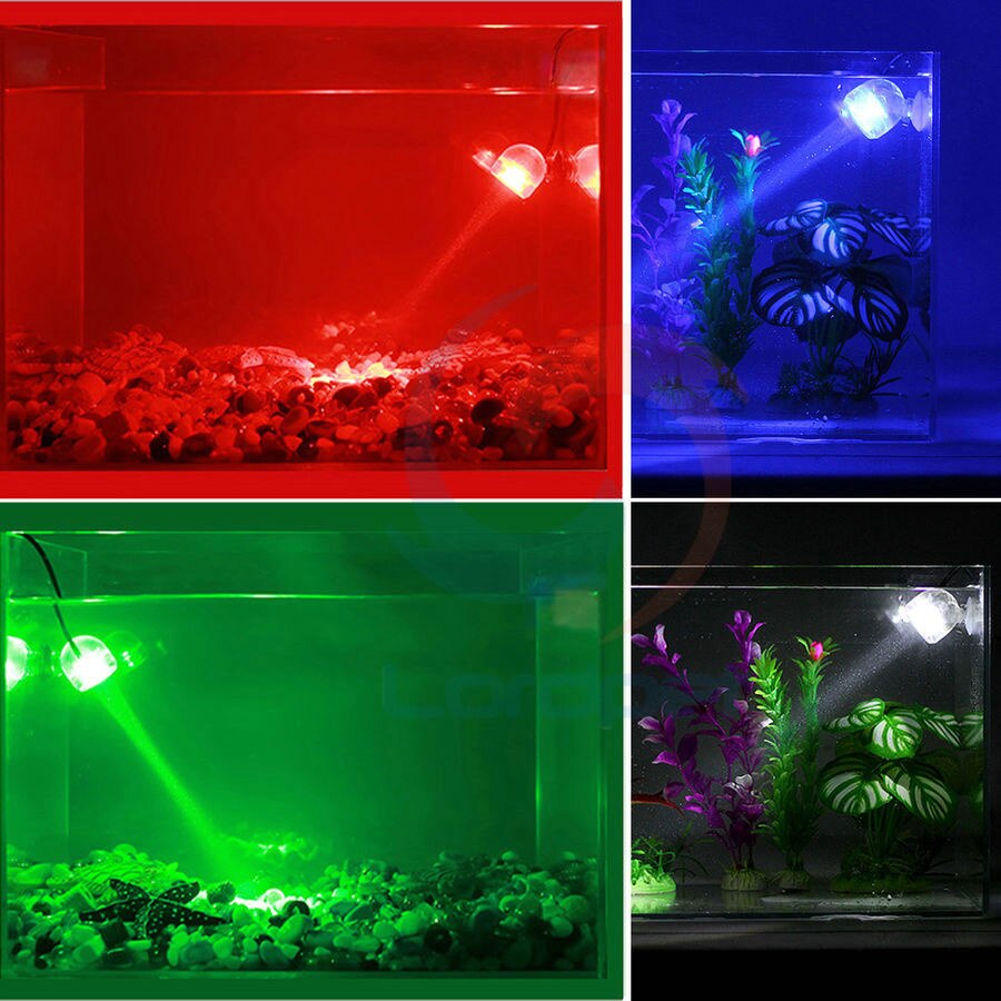 Aquarium Amphibious Submersible Mini LED Spotlight... – Grandado