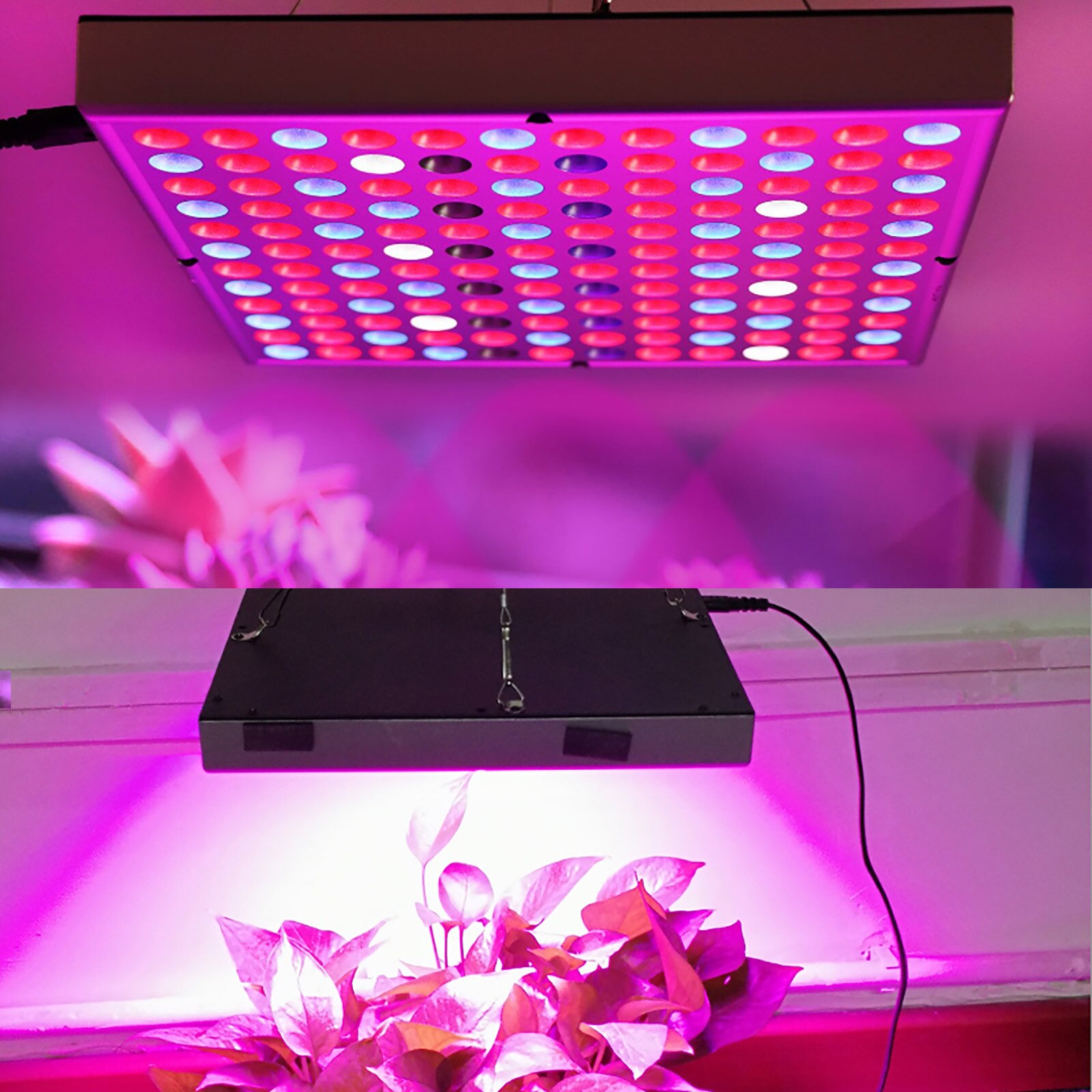 Indoor Plant Grow Stimulating Light Hanging Lamp W... – Grandado