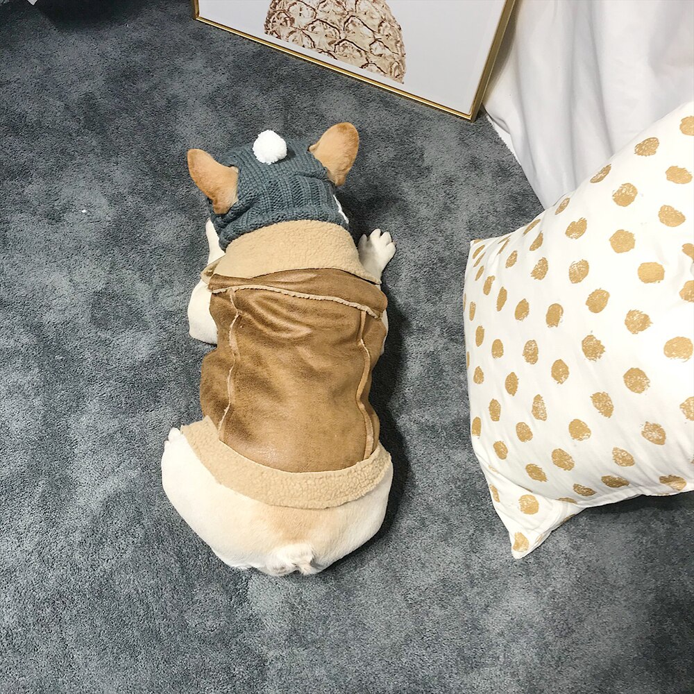 Winter Woolen Dog Birthday Cap Pet Hats Dog Access... – Grandado