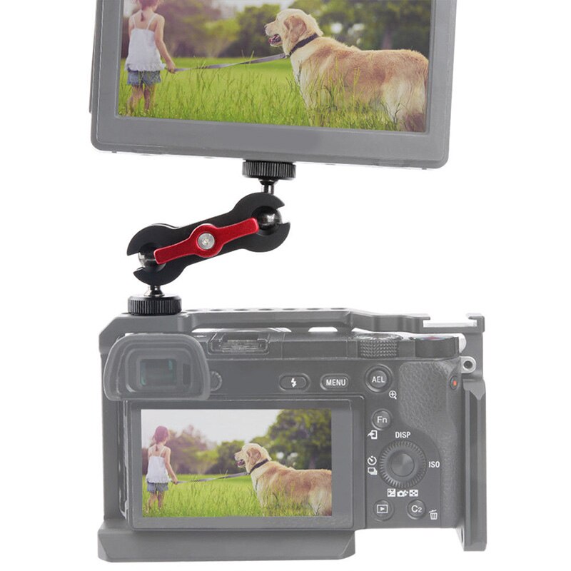 Double Ball Head Magic Arm Mount Clamp Bracket Ada... – Grandado
