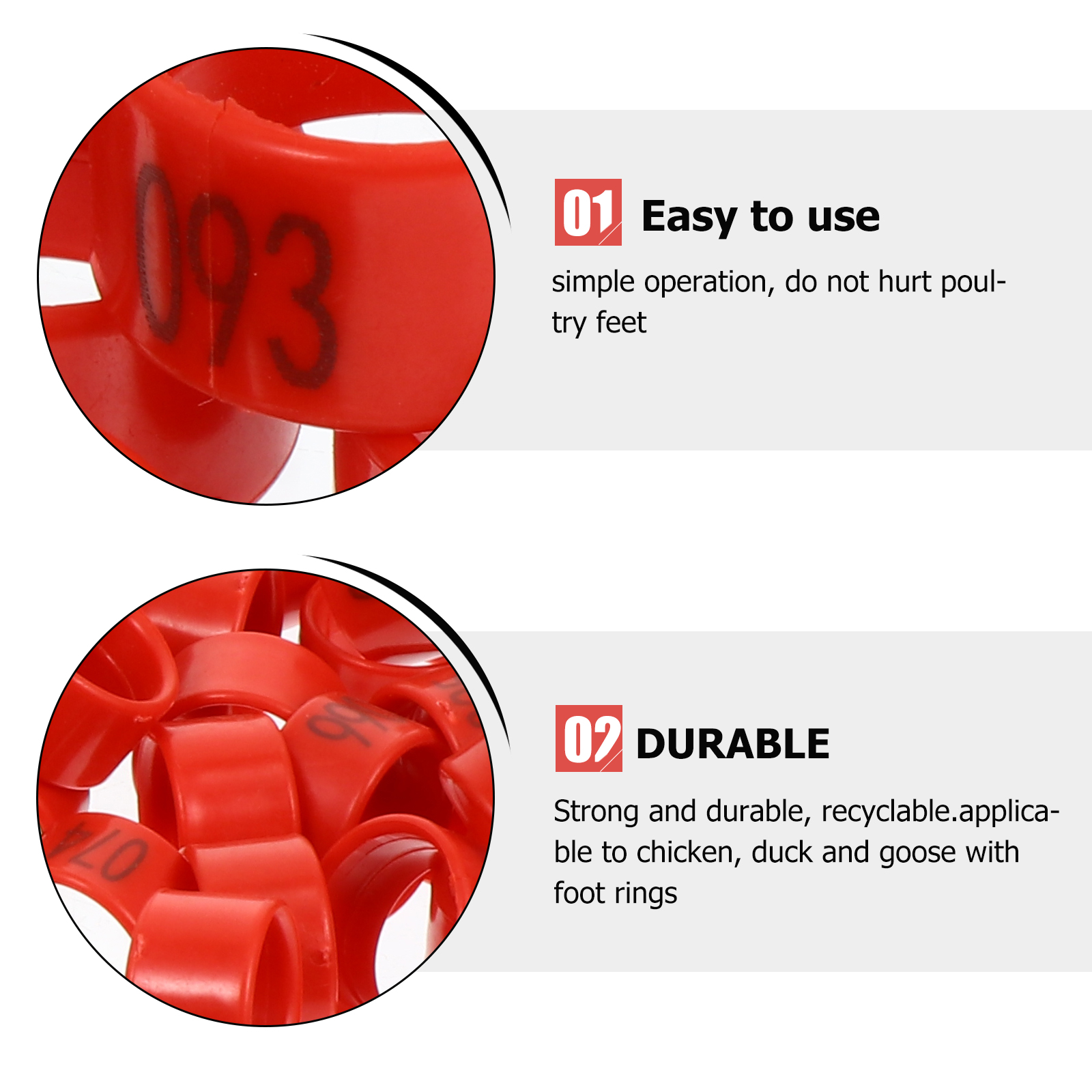 100pcs Numbered Chicken Leg Rings Chicken Identifi... – Grandado