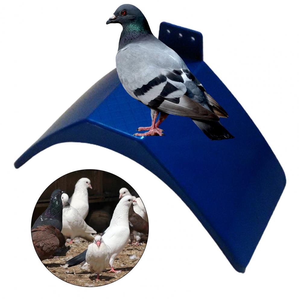 Reliable Pigeons Roost Sturdy Anti-rust Smooth Edg... – Grandado
