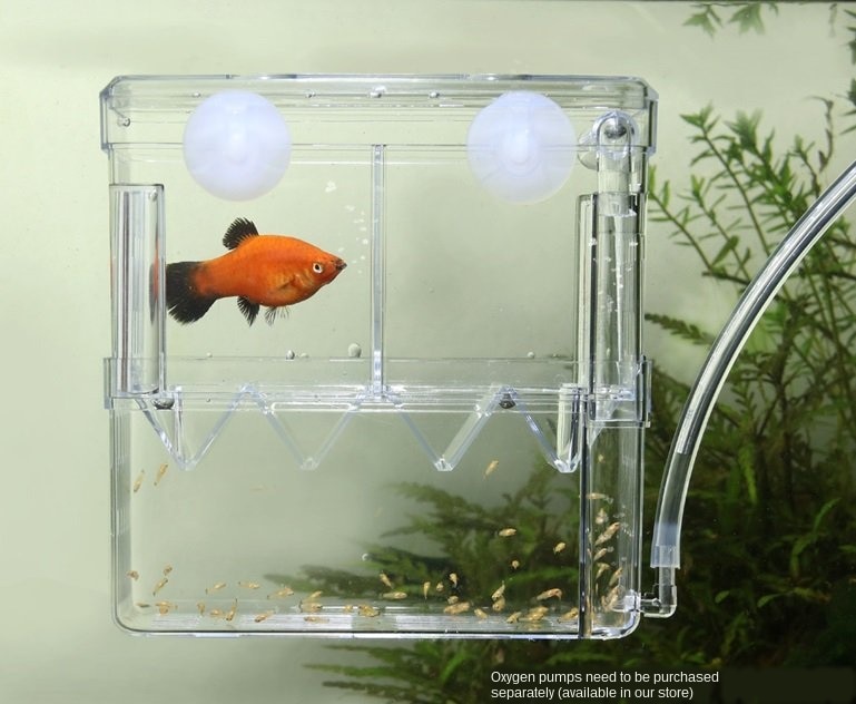 Fish tank Breeding box isolation box segregator ty... – Grandado