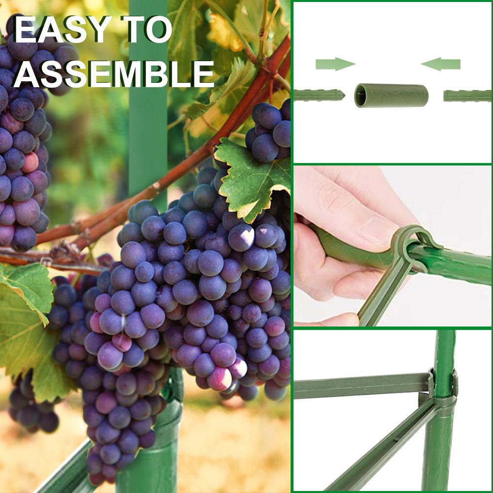 Climbing Vine Rack Plant Potted Support Frame Plas... – Grandado