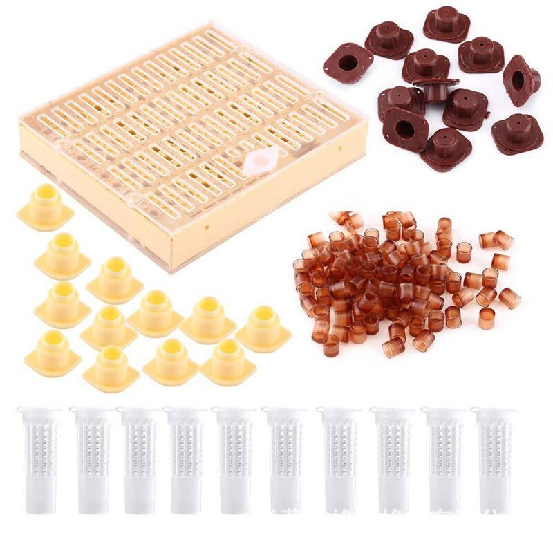 Beekeeping Tools Equipment Set Queen Rearing Culti... – Grandado