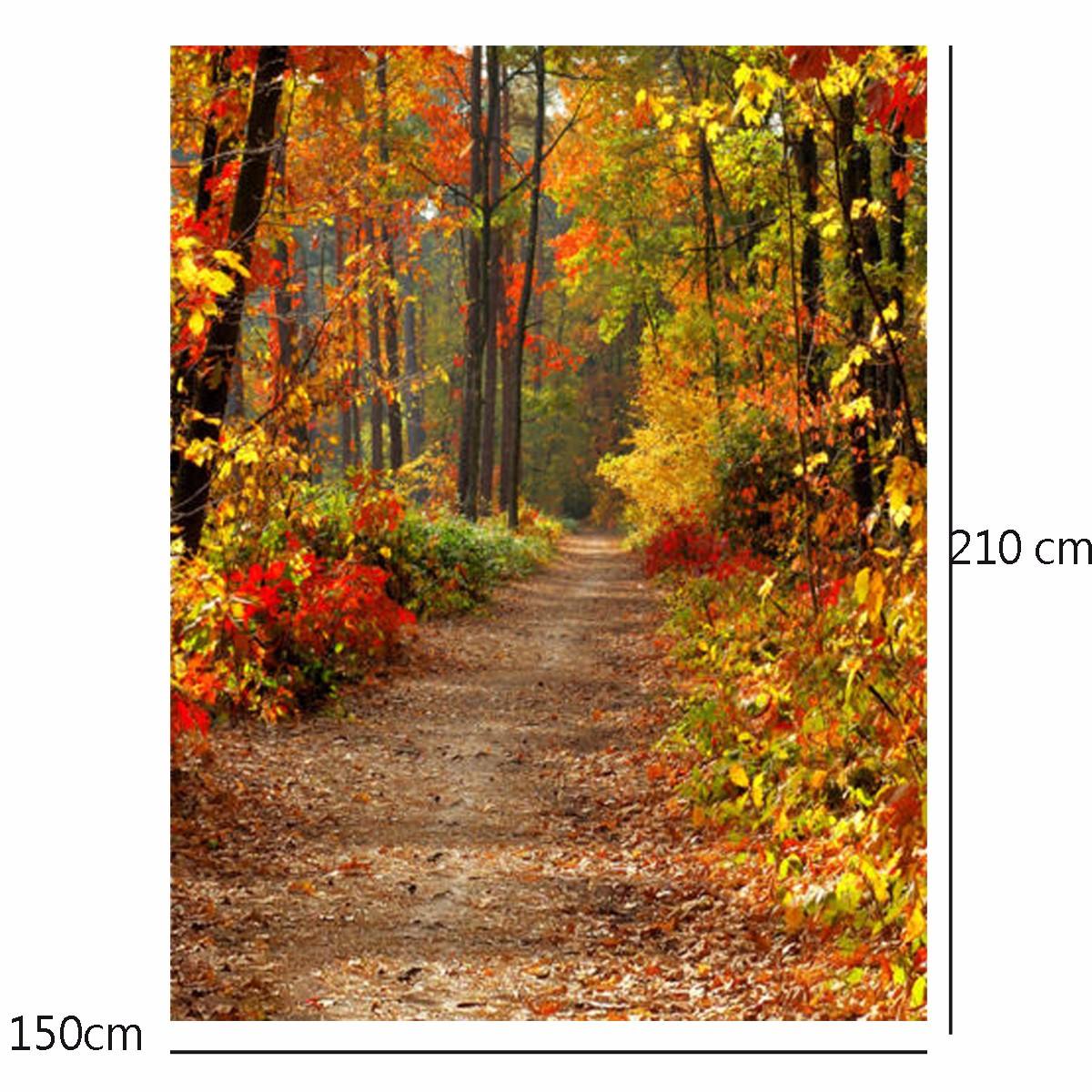 1.5x2.1m Autumn Fall Forest Vinyl Background Backd... – Vicedeal