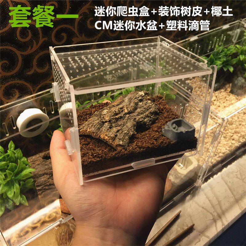 Small Size Reptile Tank Insect Spiders Tortoise Li... – Vicedeal