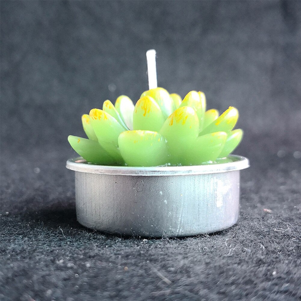 12pcs/set Baby Succulent Cactus Home Decor Events ... – Vicedeal