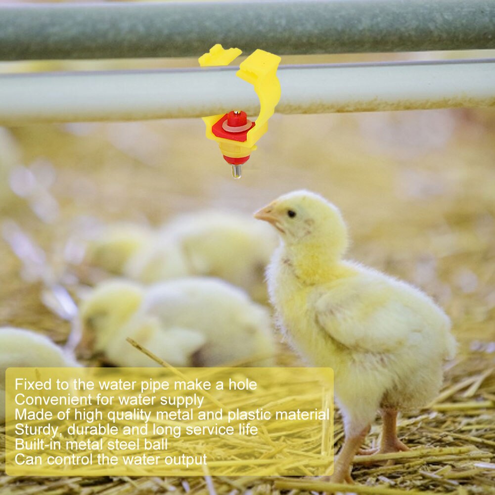 20PCS Chicken Pigs Water Drinking Cups Automatic C... – Vicedeal
