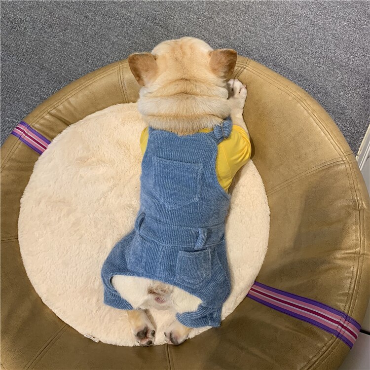 Dog Jumpsuit Winter Clothes for Cats Pink Cloth It... – Vicedeal