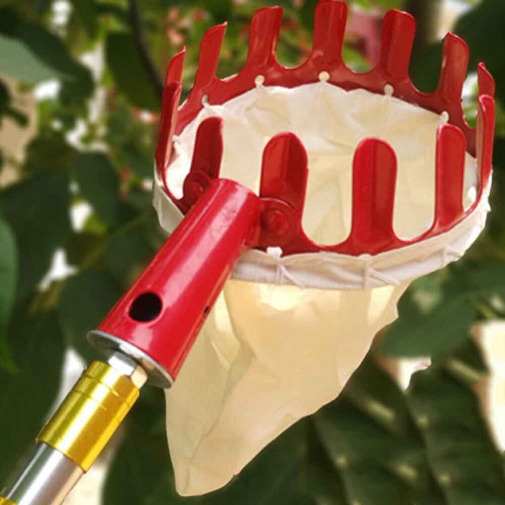 High-altitude Fruit Picker Picking Tool Fruit Cath... – Vicedeal