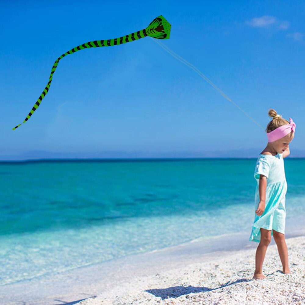 Snake Shape Kite Flying Outdoor Toys Kid Adults Ch... – Grandado