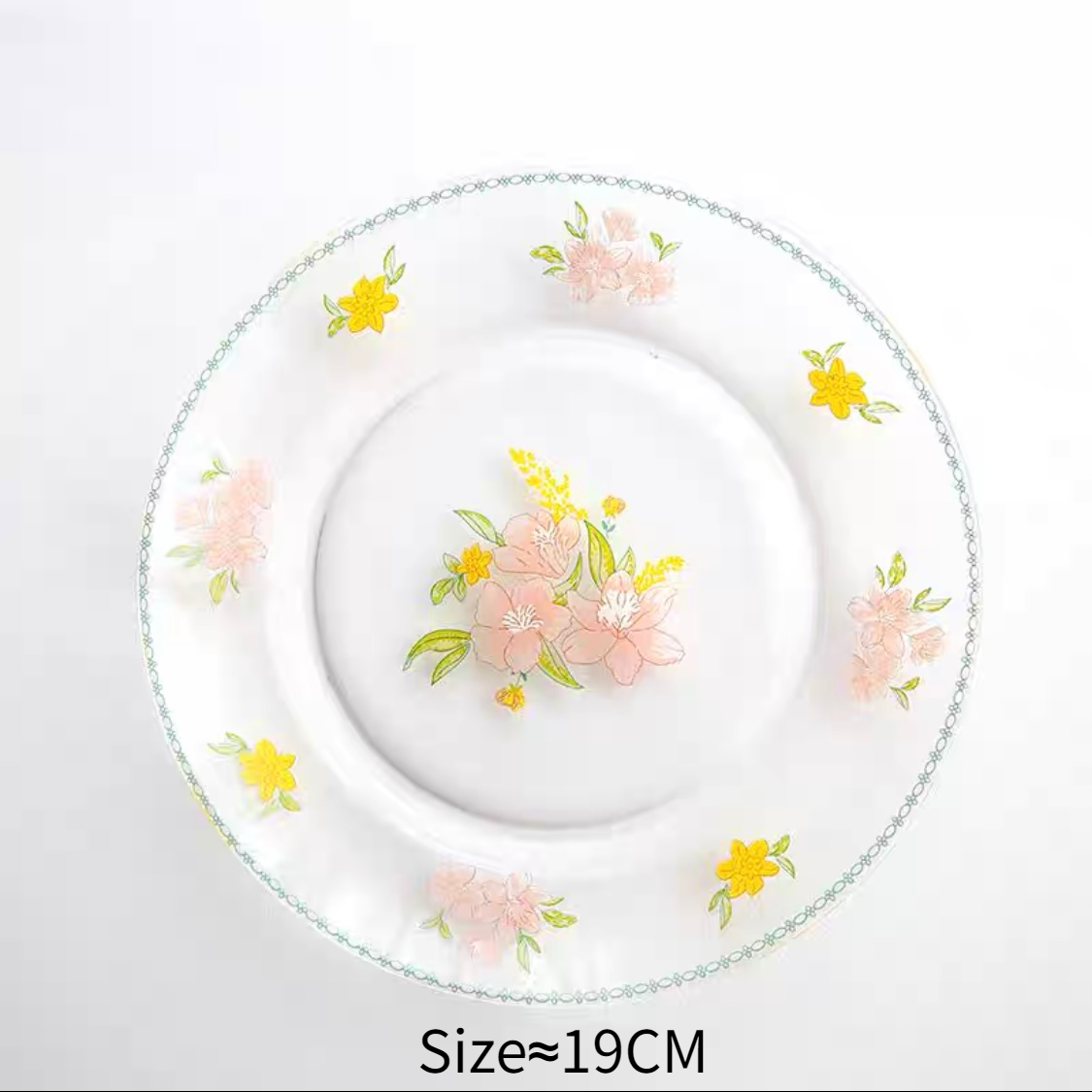 LadyCC Glass Plate Ceramics Dinner Plates for Food... – Grandado