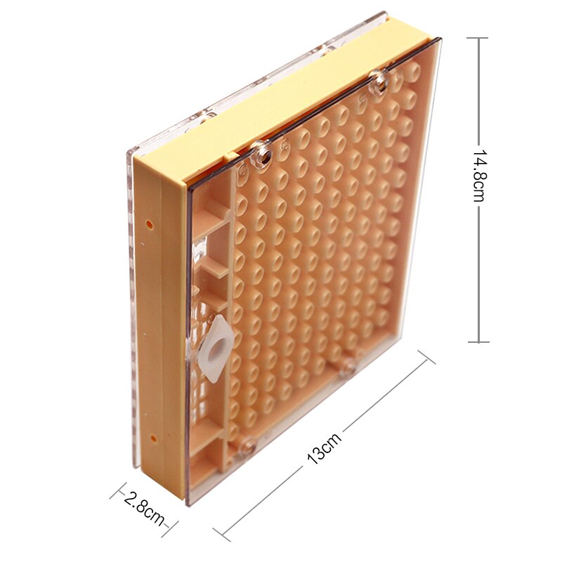 Beekeeping Queen Rearing Cell Cup Kit Equipment Ap... – Grandado