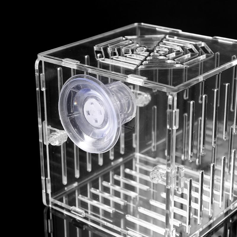 Acrylic Aquarium Fish Breeding Isolation Box With ... – Vicedeal