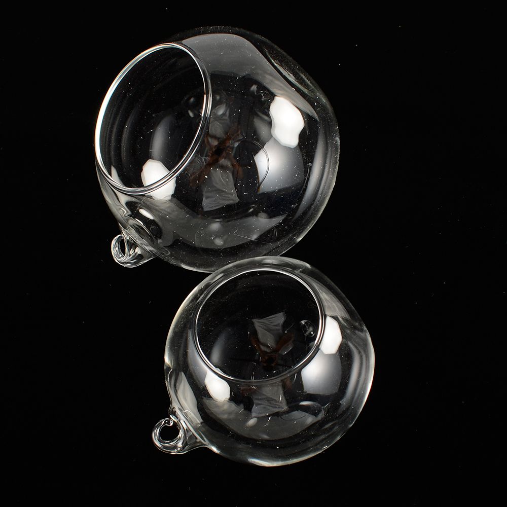 1pcs Clear Glass Ball Globe Shape Terrarium Ball F... – Grandado