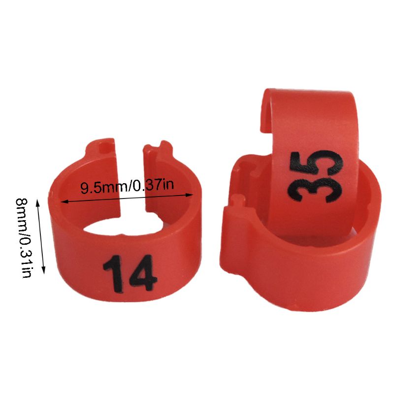 100 Pcs Number Recognition Bird Foot Ring Species ... – Grandado