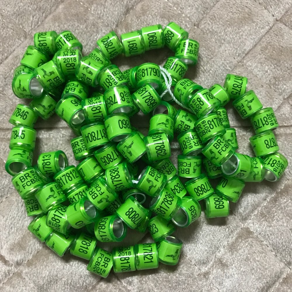 Dueringer fuglering lysegrønn br fcb med duebilde ... – Grandado