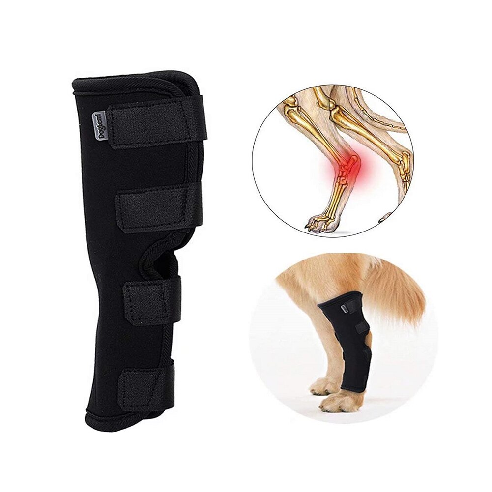 Pet Wrap Compression Leg Protects Wounds Injury Do... – Grandado