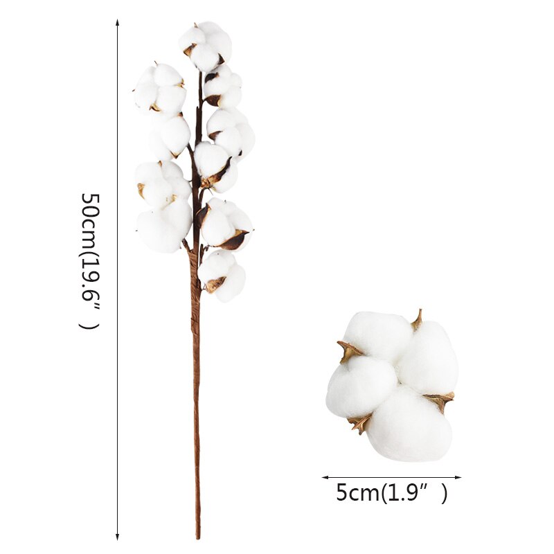 Naturally Dried Cotton Flower White Cotton Florist... – Grandado