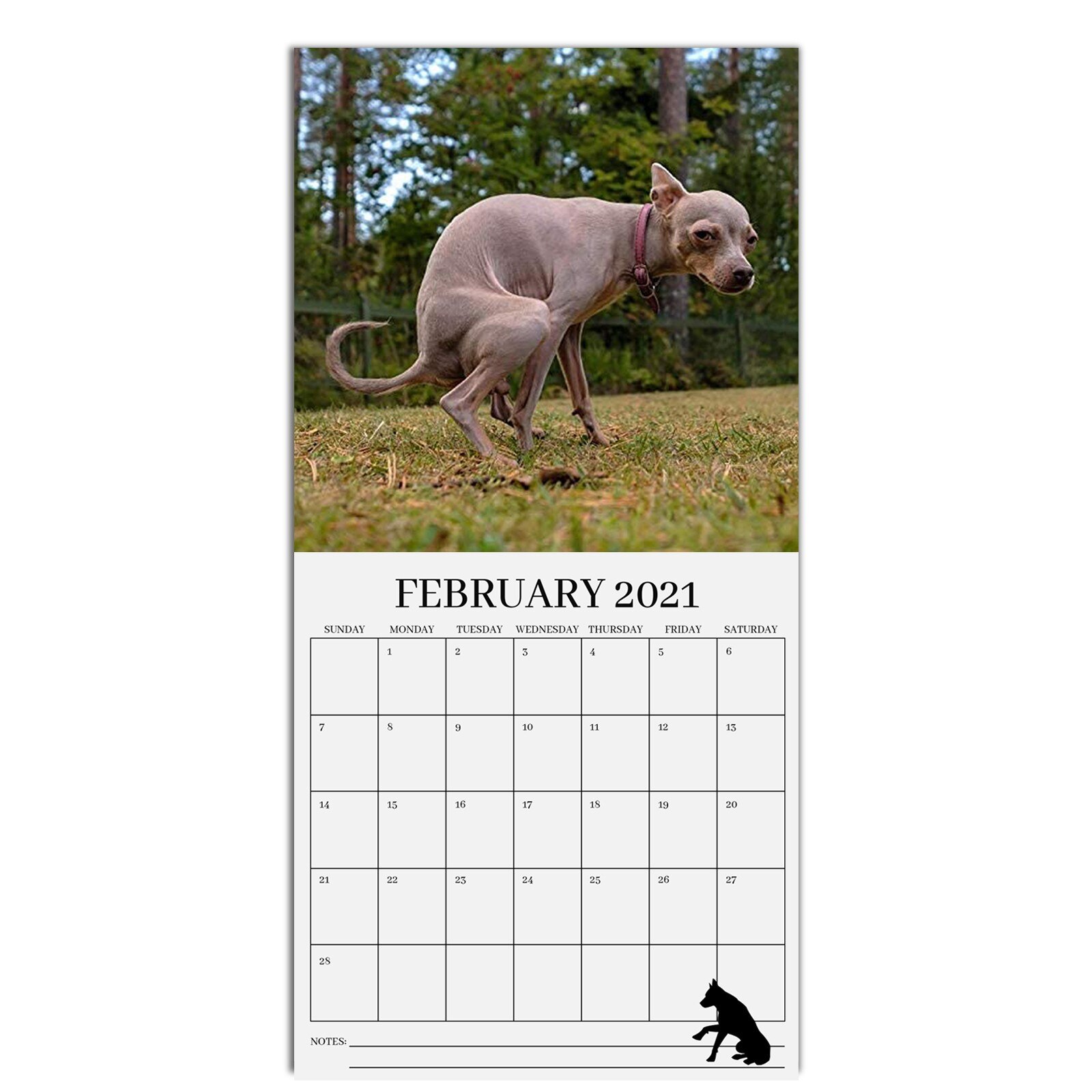 Calendario calendar Pooping Dogs Calendar, Pooping... – Grandado
