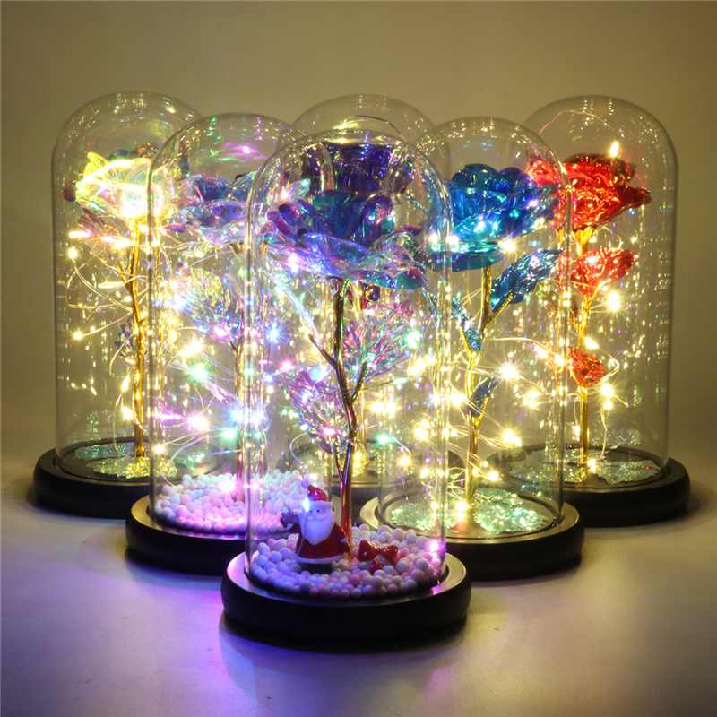 Blume Glas Vase LED Glas Display Dome Globus Box F... – Vicedeal