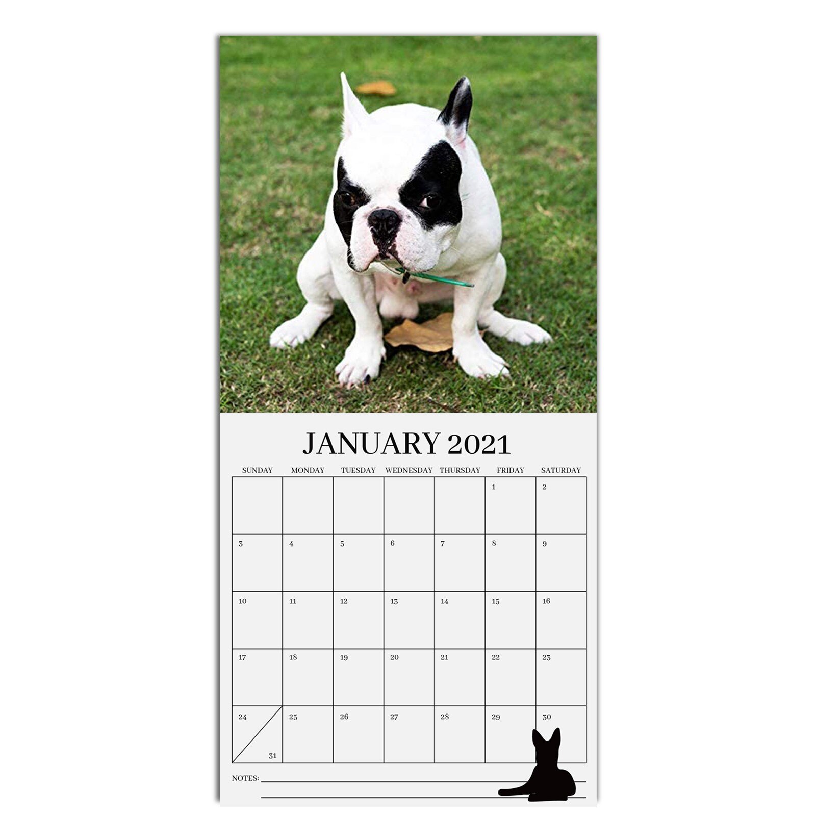 Calendario calendar Pooping Dogs Calendar, Pooping... – Grandado