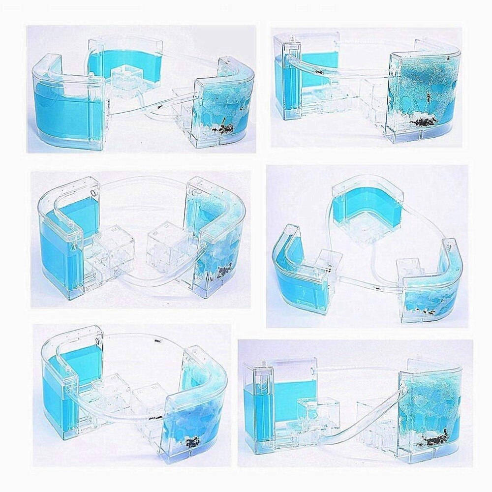 Ant Farm Castle with Tubes, Habitat Educational & ... – Grandado