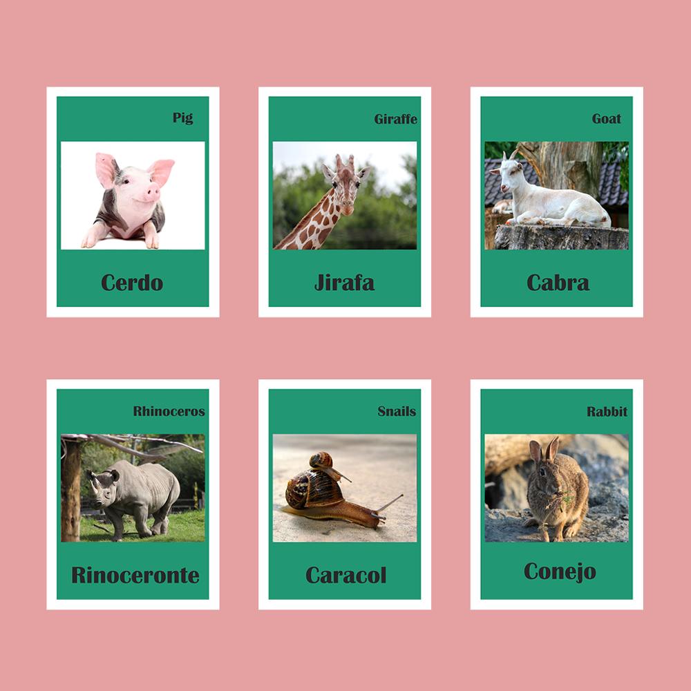 Spanish/English Animals Words Card Phonics Words F... – Vicedeal