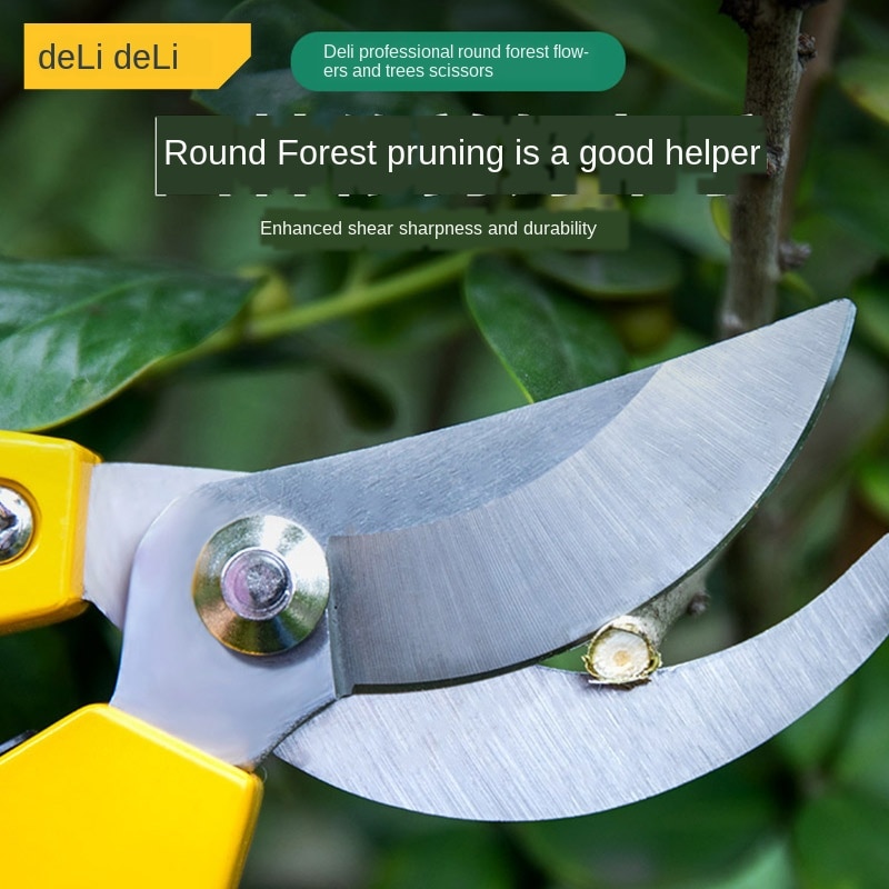 Stainless steel fruit branches horticultural sciss... – Vicedeal