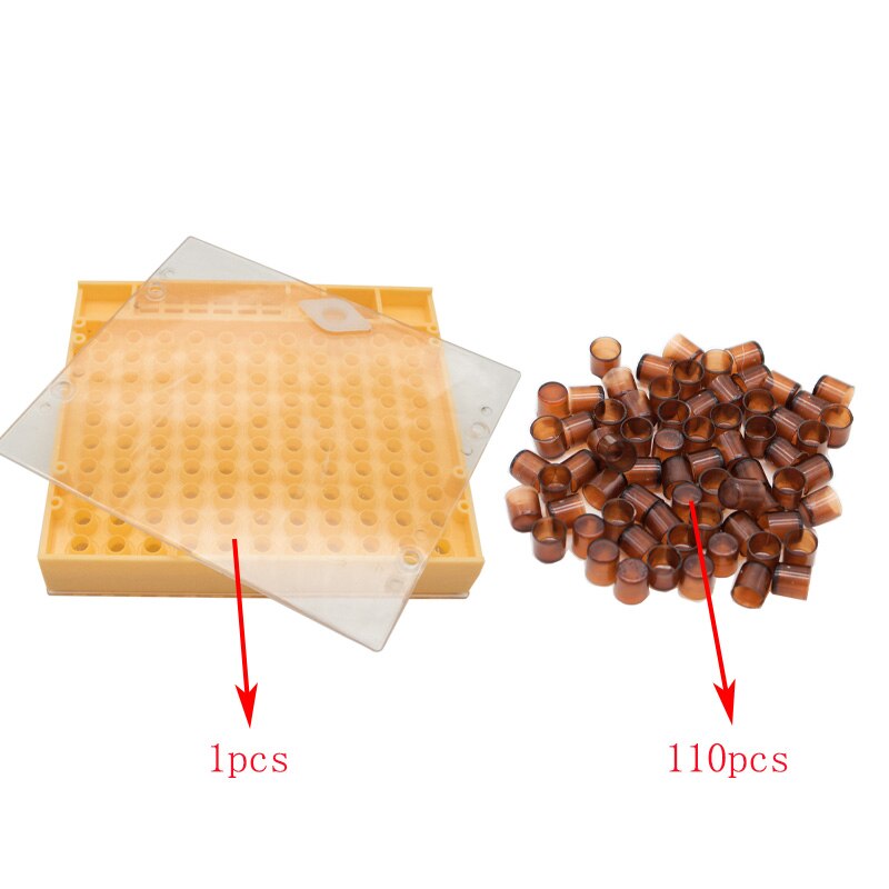 Complete Queen Rearing System Kit King Cultivating... – Grandado