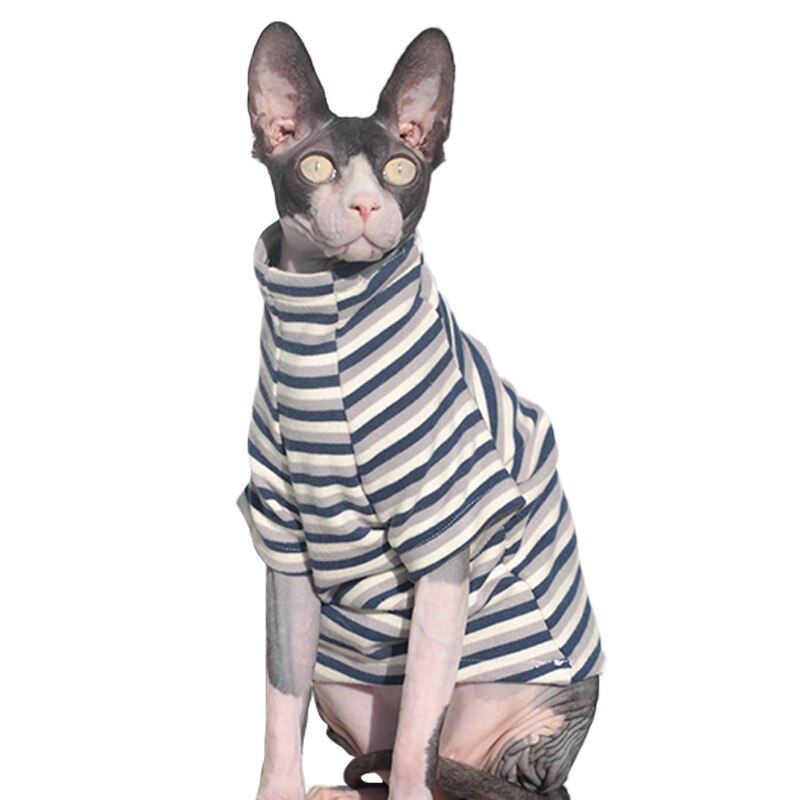 Pet clothes Sphinx hairless cat dog spring velvet ... – Grandado