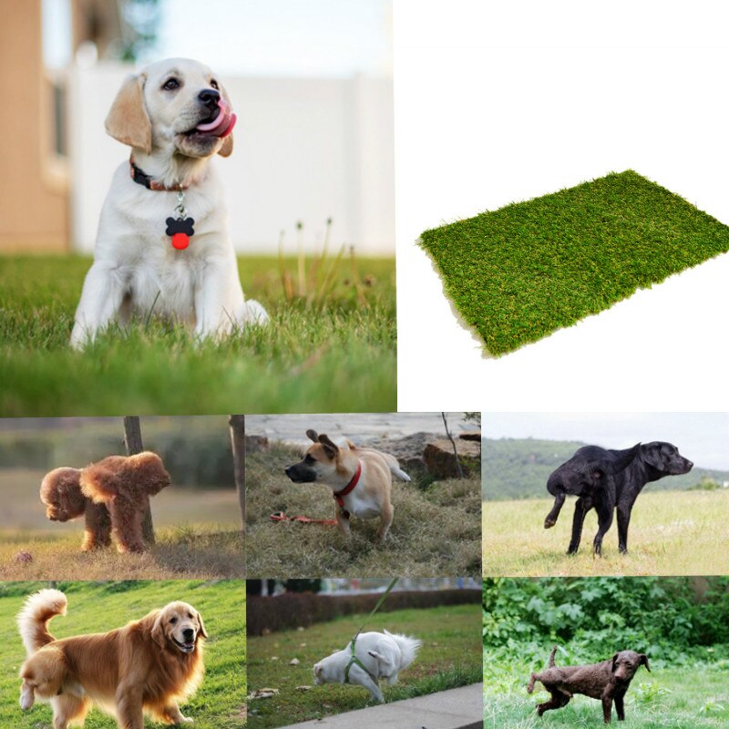 Toilet Dog Grass Pad Pee Mat Patch Simulation Trai... – Vicedeal