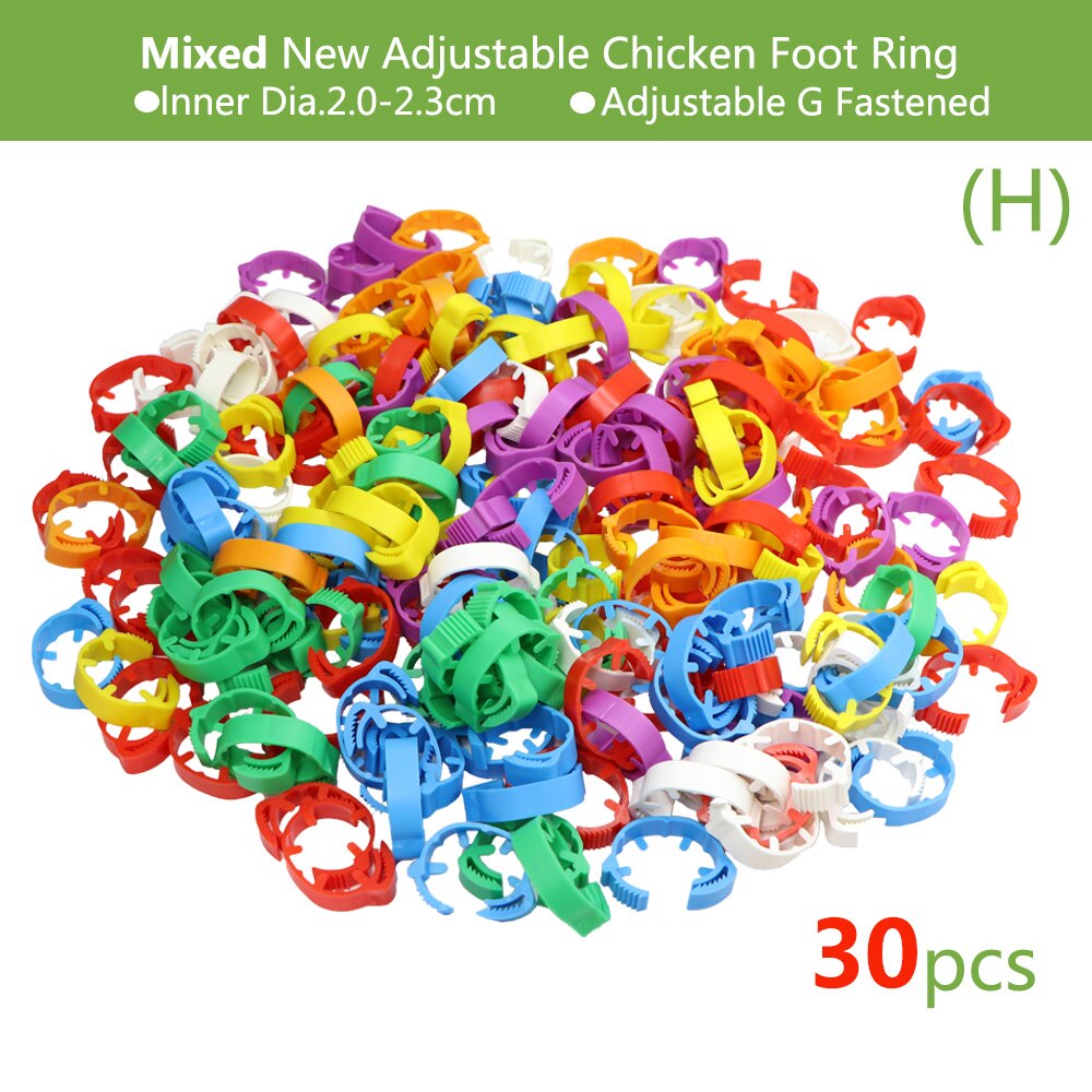 30PCS Blank Chicken Foot Ring 7 Colors Adjustable ... – Grandado