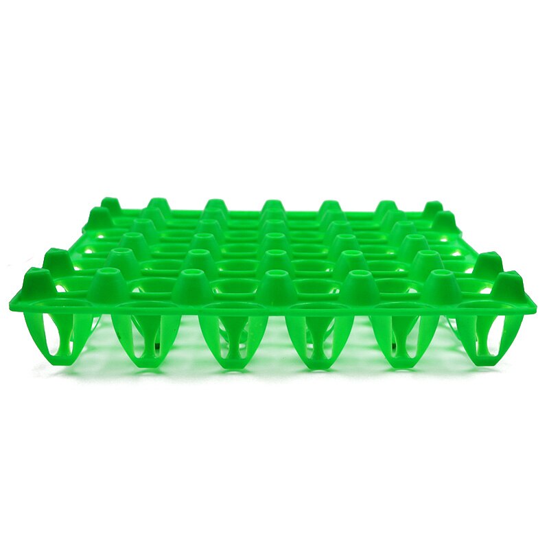 2 pcs Farm Chicken Egg Tray Egg Storage Rack Chick... – Grandado