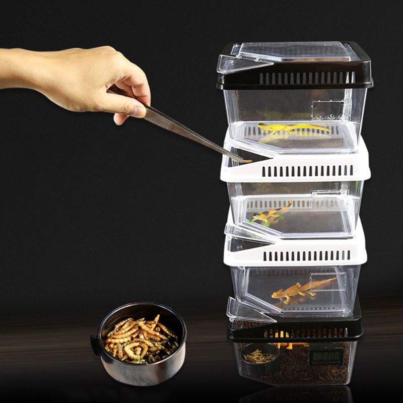 Plastic Container Reptile Feeding Box Spider Scorp... – Vicedeal