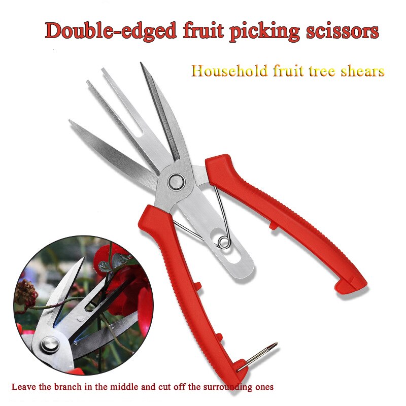 Household Fruit Tree Shears Stainless Steel Double... – Grandado
