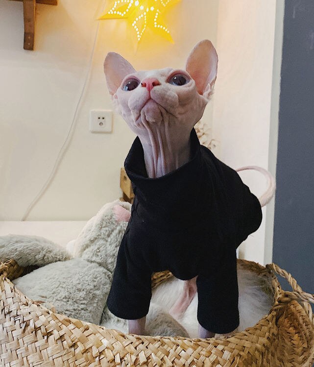 Cat Clothes MPK Store Artificial Fur Fabric Cat We... – Grandado