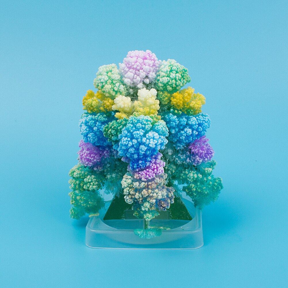 Magic Flowering Christmas Tree Growing Blooming Ma... – Vicedeal