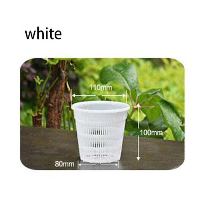 Breathable Orchid Clear Flower grow Pot net cup Co... – Grandado