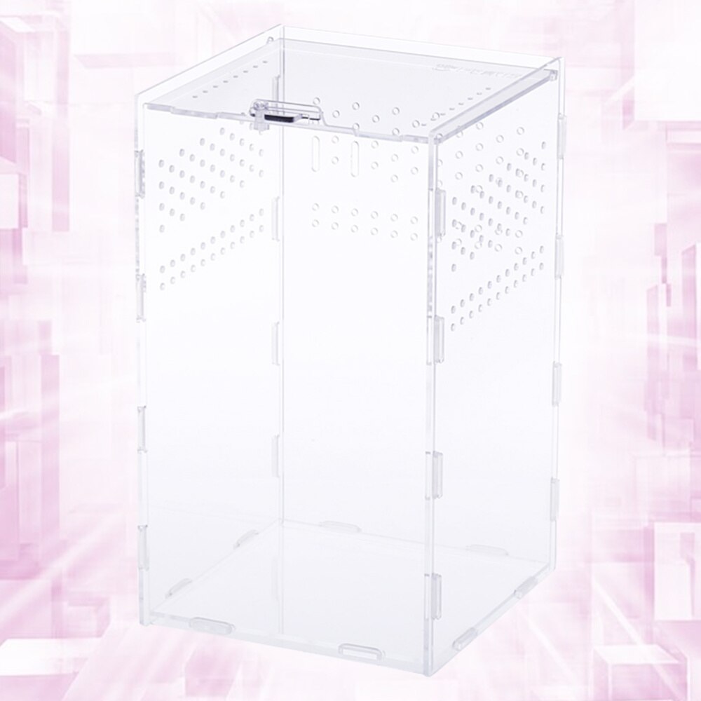 1Pc Reptile Supplies Insect Nest Insect Feeding Bo... – Grandado