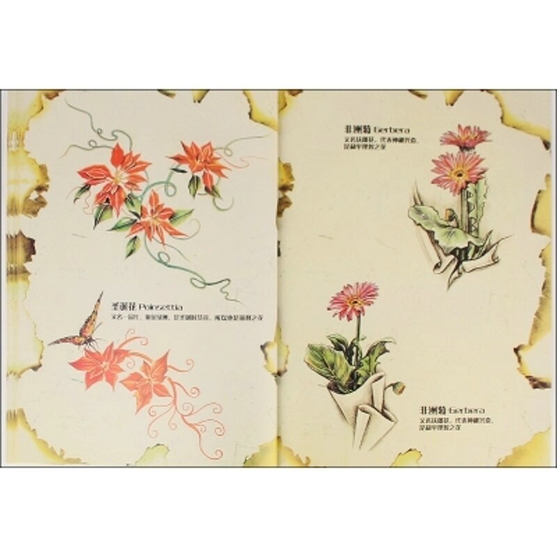 Tattoos Flower Manuscript Book Woman Drawing Rose ... – Grandado