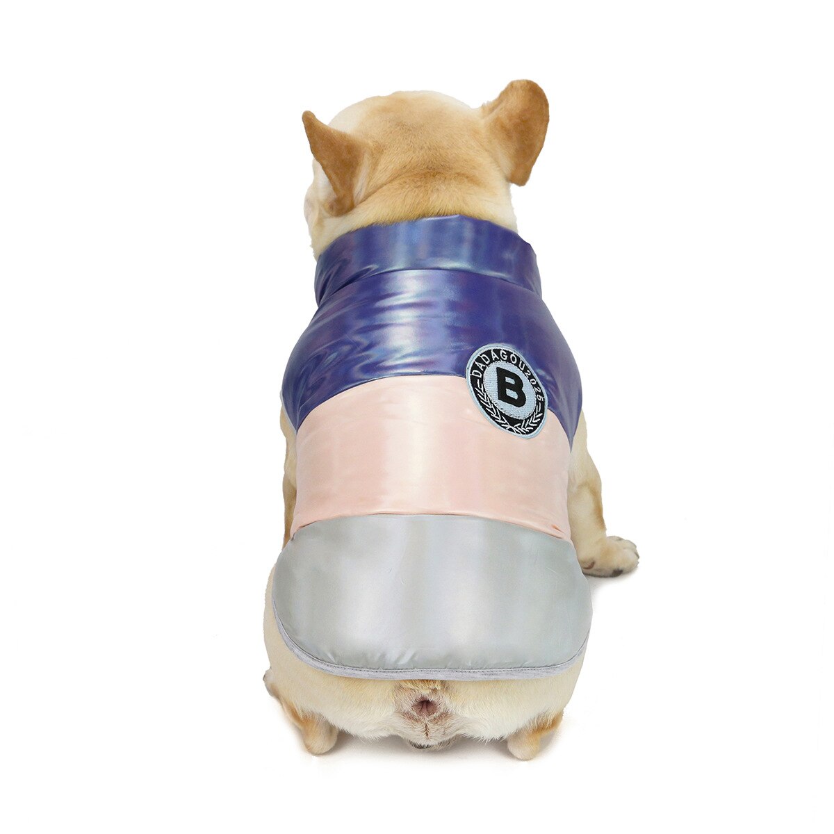 Bulldog clothes autumn and winter pet clothing Fad... – Vicedeal
