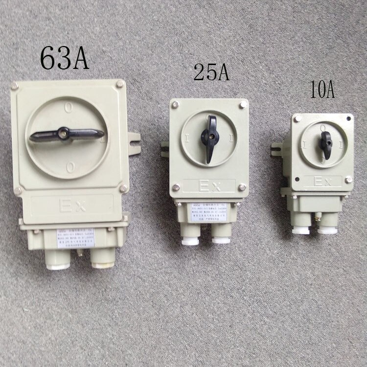 Explosieveilige Transfer Switch 60A/ 3-Fase Motor ... – Grandado