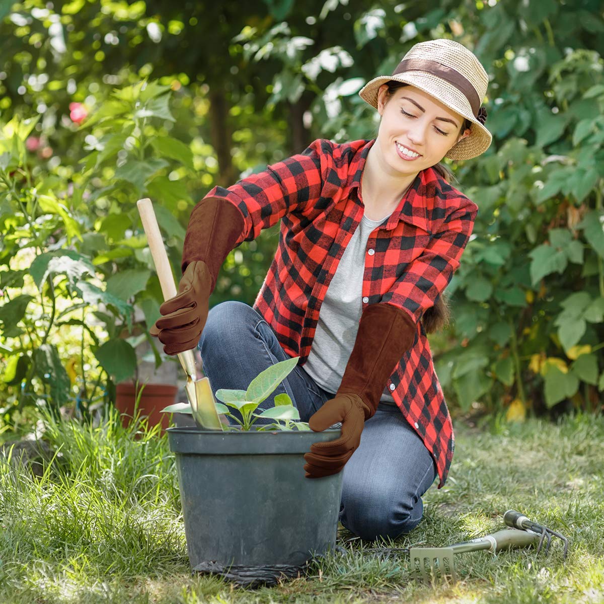 Hhprotect Rose Snoeien Rosetender Tuinieren Handsc... – Grandado