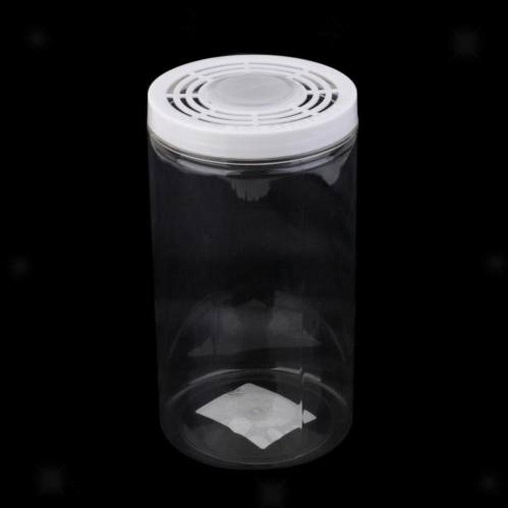 Tarantula Spider Insect Tank Bottle Transparent Tr... – Grandado